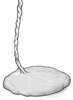 Checking the placenta | RPHCM