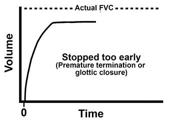 Lungs and respiratory system examination | RPHCM
