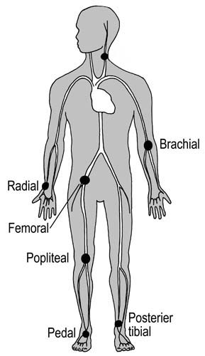 Assessing trauma — primary and secondary survey | RPHCM