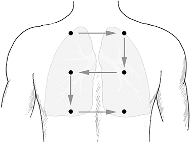 Lungs and respiratory system examination | RPHCM