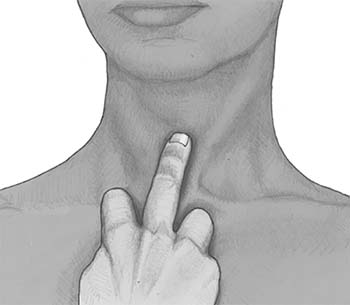 Lungs and respiratory system examination | RPHCM