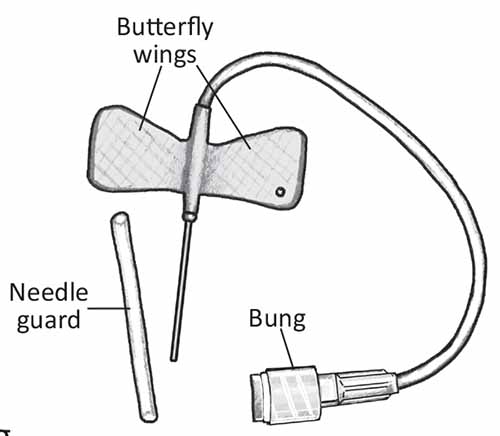 Putting in butterfly IV needle | RPHCM