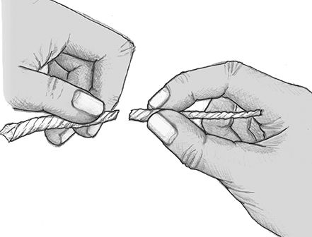 Ear procedures | RPHCM