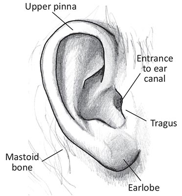 Ear examination | RPHCM
